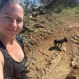Hawes Ridge Loop, Arizona - 2,742 Reviews, Map | AllTrails