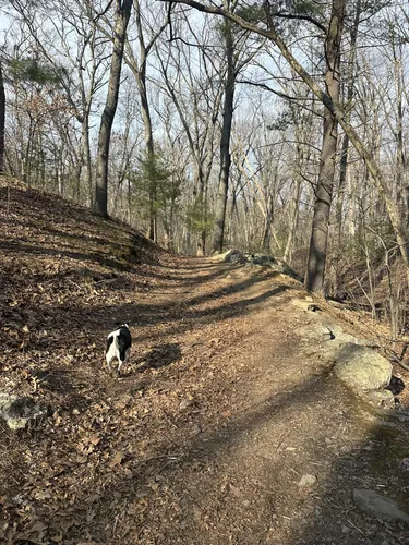 Best Hikes and Trails in Whipple Hill Conservation Lands | AllTrails