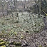 Chee Dale Gorge Circular, Derbyshire, England - 1,287 Reviews, Map ...