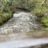 Chee Dale Gorge Circular, Derbyshire, England - 1,287 Reviews, Map ...