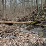 Plateau Trail, Ohio - 3,275 Reviews, Map | AllTrails