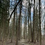 Plateau Trail, Ohio - 3,275 Reviews, Map | AllTrails