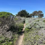 Mavericks Cliffs Trail and Pier, California - 1,501 Reviews, Map ...