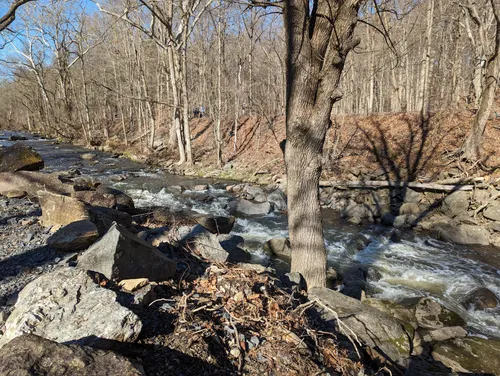 Best Hikes and Trails in Lorimer Park | AllTrails