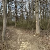 ChesLen Preserve Yellow Loop, Pennsylvania - 640 Reviews, Map | AllTrails