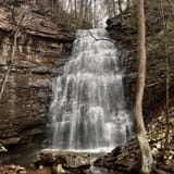 Denny Cove Waterfall Trail , Tennessee - 1,068 Reviews, Map | AllTrails
