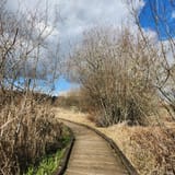 North Creek Trail, Washington - 557 Reviews, Map | AllTrails