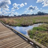 North Creek Trail, Washington - 557 Reviews, Map | AllTrails