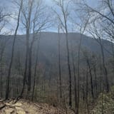 Rainbow Falls Trail, South Carolina - 2,590 Reviews, Map | AllTrails