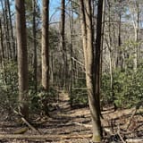 Peg Leg Mine Trail, Tennessee - 165 Reviews, Map | AllTrails