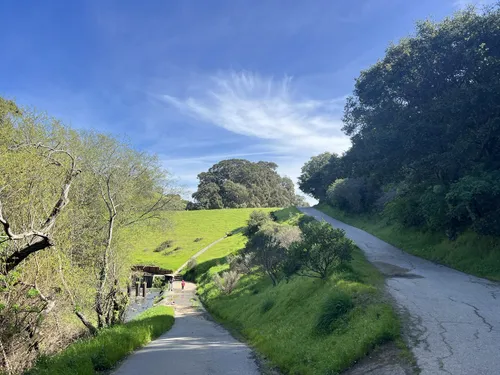 Best Mountain Biking Trails in San Mateo | AllTrails