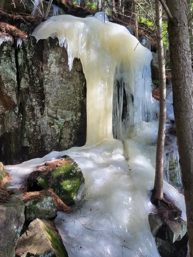 Best River Trails in Limberlost Forest and Wildlife Reserve | AllTrails