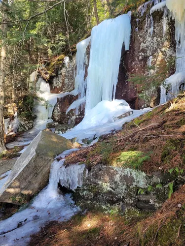 Best River Trails in Limberlost Forest and Wildlife Reserve | AllTrails