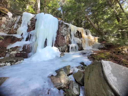 Best River Trails in Limberlost Forest and Wildlife Reserve | AllTrails