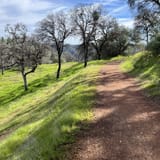 Foresthill Divide Loop, California - 1,142 Reviews, Map | AllTrails