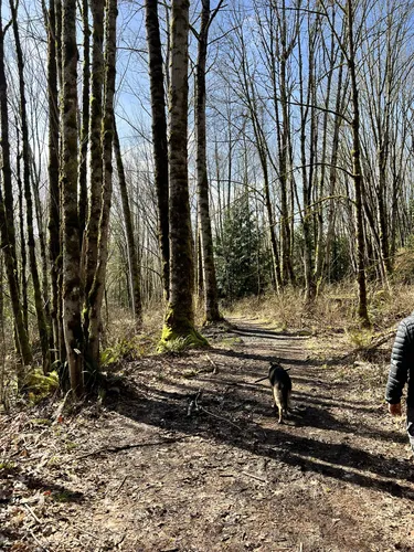 Best Horseback Riding Trails in Lord Hill Regional Park | AllTrails