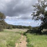 Sylvan Meadows , California - 184 Reviews, Map | AllTrails