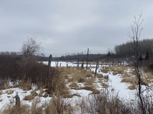 Best River Trails in Cooking Lake/Blackfoot Provincial Recreation Area ...