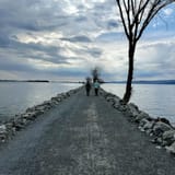 Colchester Causeway Trail, Vermont - 878 Reviews, Map | AllTrails