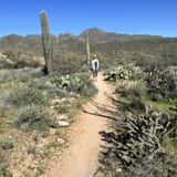 Dixie Mine Trail, Arizona - 154 Reviews, Map | AllTrails