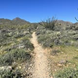 Dixie Mine Trail, Arizona - 154 Reviews, Map | AllTrails