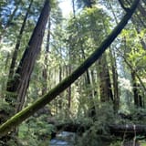 Bootjack Loop, California - 1,797 Reviews, Map | AllTrails