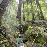 Bootjack Loop, California - 1,797 Reviews, Map | AllTrails