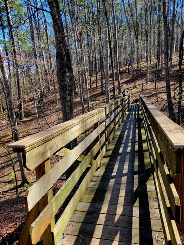 Best Lake Trails in Mountain Pine | AllTrails