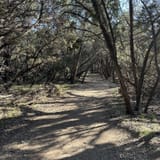 Good Water Trail to Lake Georgetown, Texas - 1,194 Reviews, Map | AllTrails