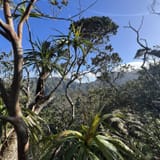 Moanalua Valley and Tripler Ridge Trail Loop, Oahu, Hawaii - 191 ...