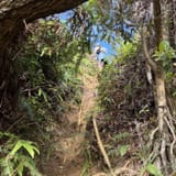 Moanalua Valley and Tripler Ridge Trail Loop, Oahu, Hawaii - 191 ...