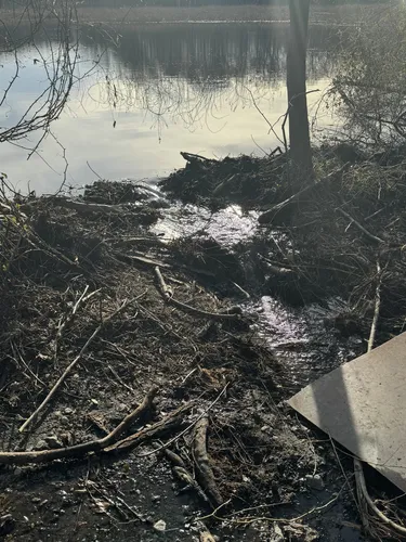 Best River Trails in Sparrows Point | AllTrails