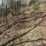 Buffalo Mountain Trail, Virginia - 698 Reviews, Map | AllTrails