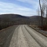 Old Loggers Path, Pennsylvania - 664 Reviews, Map | AllTrails