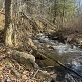 Old Loggers Path, Pennsylvania - 664 Reviews, Map | AllTrails
