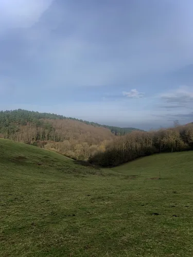 Best Lake Trails in Quantock Hills National Landscape (AONB) | AllTrails