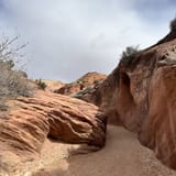 Wire Pass Trail, Utah - 2,778 Reviews, Map | AllTrails