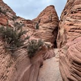 Wire Pass Trail, Utah - 2,778 Reviews, Map | AllTrails