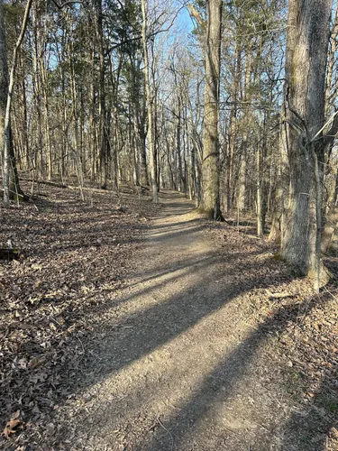 Best Hikes and Trails in Bledsoe Creek State Park | AllTrails