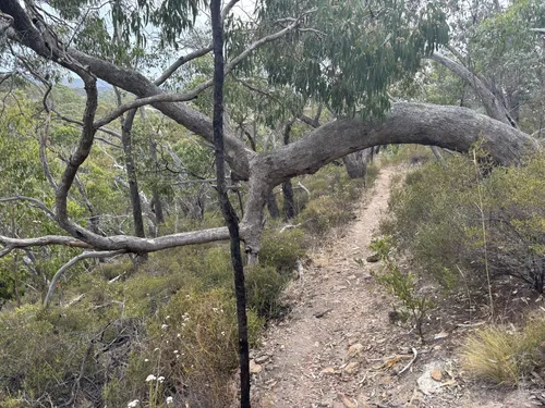 Best Hikes and Trails in Hale Conservation Park | AllTrails