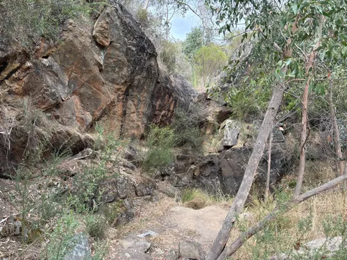 Best Hikes and Trails in Hale Conservation Park | AllTrails