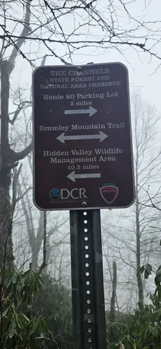 Best Hikes and Trails in The Channels State Forest | AllTrails