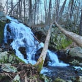 Zoar Trail, Connecticut - 2,148 Reviews, Map | AllTrails