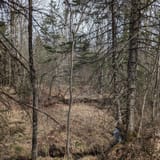 Penokee Mountain Range Overlook, Wisconsin - 22 Reviews, Map | AllTrails