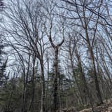 Penokee Mountain Range Overlook, Wisconsin - 22 Reviews, Map | AllTrails