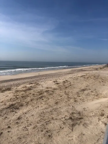 Best Hikes and Trails in Mastic Beach | AllTrails