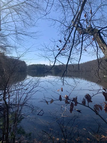 Best Kid Friendly Trails in West Suffield | AllTrails