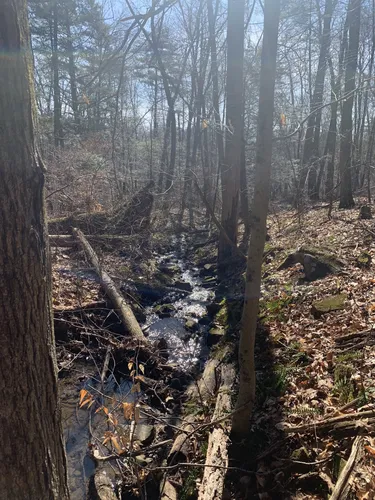 Best Kid Friendly Trails in West Suffield | AllTrails