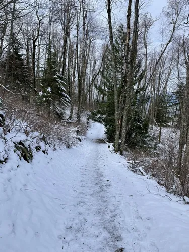 Best Hikes and Trails in Mount Thom Park | AllTrails