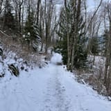 Mount Thom via Thom Creek Trail, British Columbia, Canada - 1,443 ...